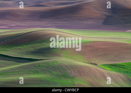 Southern Washington State, USA, farmland in spring Stock Photo - Alamy