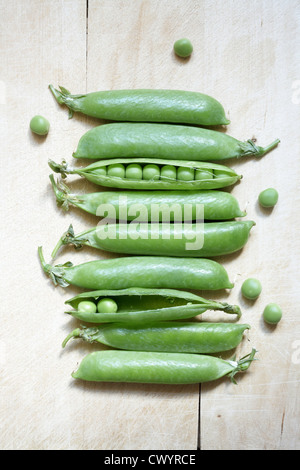 A close-up photograph of K-line pods, part of the Mountain Prairie ...