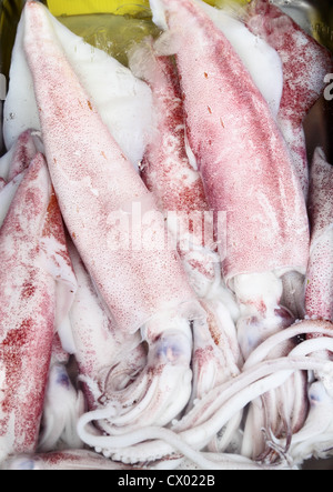 Fresh squids display in the basket fresh seafood Stock Photo - Alamy