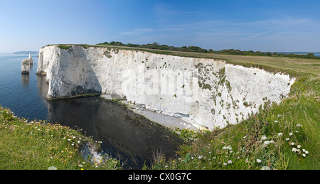 The chalk cliffs located at Handfast Point, on the Isle of Purbeck in ...