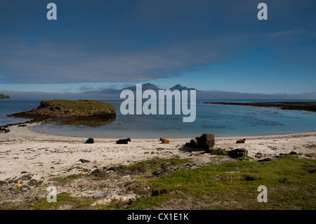 Beach on the Isle of Muck looking northwards towards the Isle of Rum ...