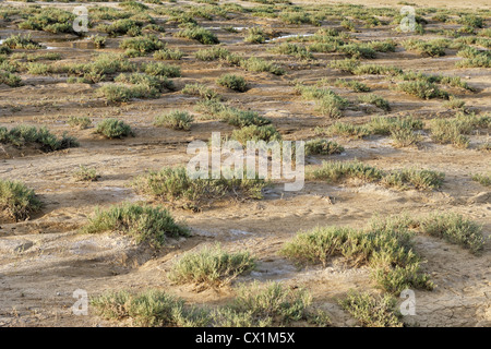arid, background, barren, climate, climatic, deserted, dry, earth ...