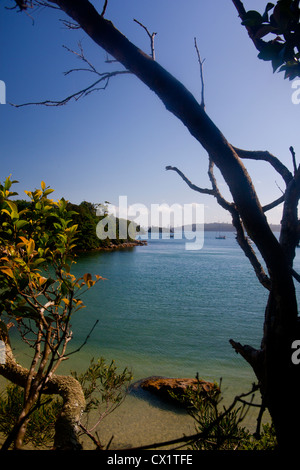 View over Spring Cove and Collins Beach in Manly, Sydney, Australia ...