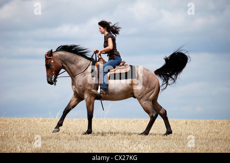 western riding horsewoman Stock Photo - Alamy