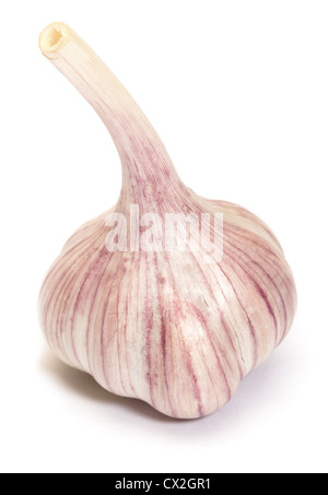 Isolated garlic. Raw garlic with segments isolated on white background ...
