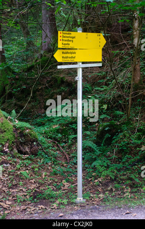 Walking path sign in Austria, flag painted on a rock Stock Photo - Alamy