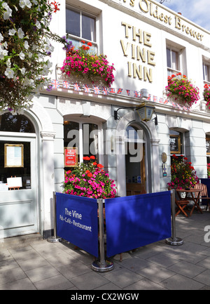 The Vine Inn Shepherd Neame Pub Tenterden Kent UK Pubs Stock Photo - Alamy