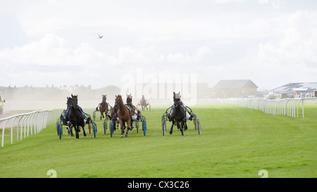 Harness racing at Musselburgh Racecourse. Scotland Stock Photo - Alamy
