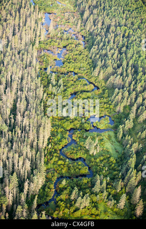Boreal forest and Muskeg in Northern Alberta, Canada near Fort McMurray ...