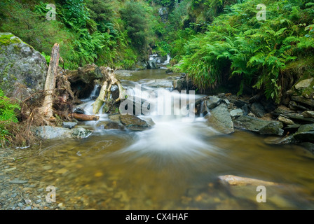 Spout Force, Lake District, England, UK Stock Photo - Alamy
