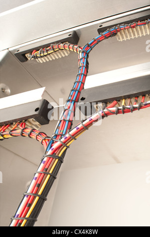 Bunch of tangled computer data cables. Shallow depth of field Stock ...
