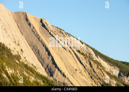 tilted bedding plane in exposed strata in the rocks of the Sahara near ...