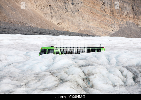 Tourist buggys on the Athabasca Glacier which has lost 60% of its mass ...