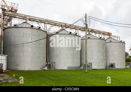 Hardy Rice Dryer grain elevator with silos for rice storage in ...