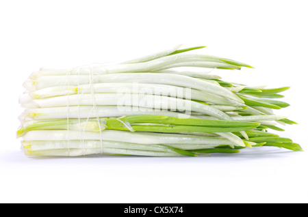 Ramson bunch vegetable isolated on white background with clipping path ...
