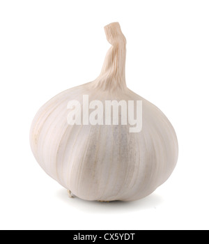 Single whole white garlic on white background. Studio shoot Stock Photo ...