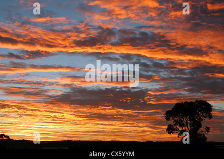 Stanthorpe, Queensland, Australia Stock Photo - Alamy