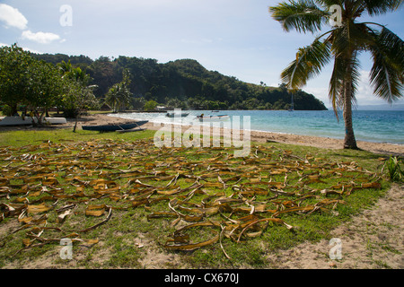 Kioa Island Fiji Melanesia South Pacific Stock Photo - Alamy
