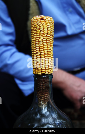 Big bottle of moonshine or vodka with cob of corn as a stopper of a ...