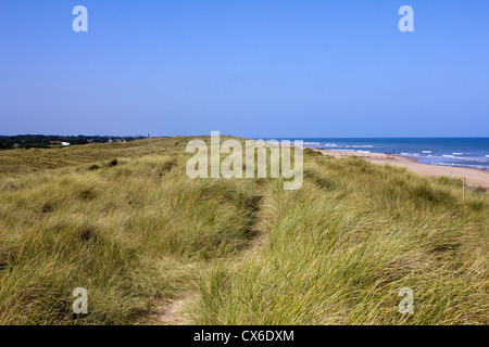 sand dunes and beach near horsey corner norfolk england Stock Photo - Alamy