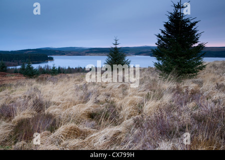 Kielder Water is a man made reservoir and Kielder Forest a series of ...
