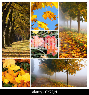 Collage made with autumn related images Stock Photo - Alamy
