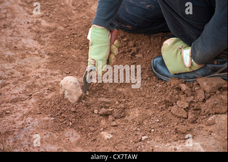 Archaeologist digging a prehistoric neolithic site on Dorstone Hill ...