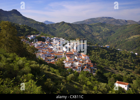 The village of Benadalid near Ronda in Andalucia, Spain Stock Photo - Alamy