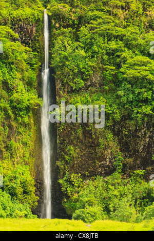 French Polynesia, Tahiti, Cascades Faarumai. waterfall. (Large format ...