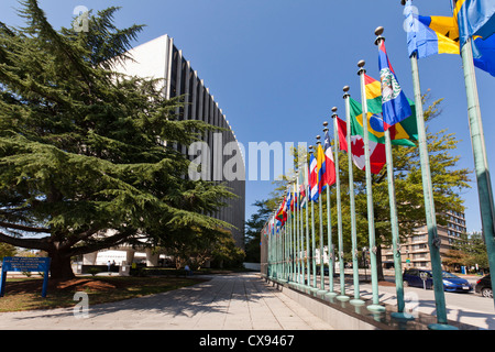 Pan American Health Organization / World Health Organization, PAHO ...