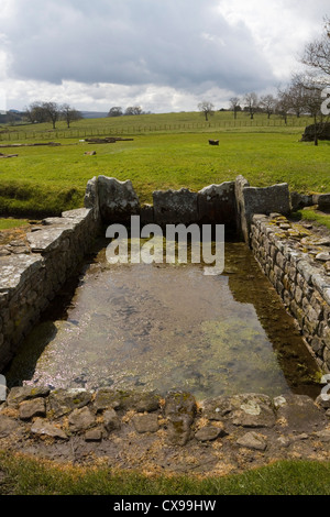 Water Tank at Vindolanda Stock Photo - Alamy