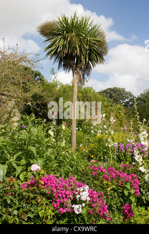 Quex House and Gardens Birchington Kent England UK Victorian Kitchen ...
