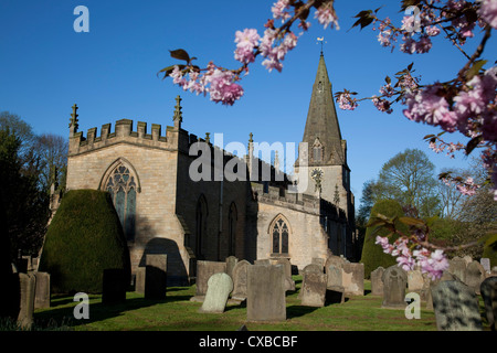 Baslow Parish Church and spring cherry blossom, Derbyshire, England ...