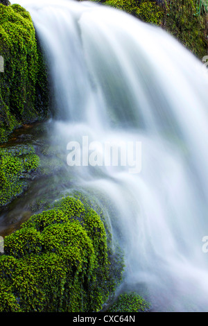 Waterfall, Glen Artney, near Crieff, Perthshire, Scotland, United ...