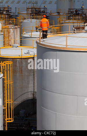 chemical plant process operator petro-chemical industry inspecting ...