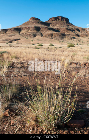 Huab River Valley, Torra Conservancy, Damaraland, Namibia, Africa Stock ...