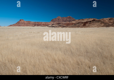 Huab River Valley, Torra Conservancy, Damaraland, Namibia, Africa Stock ...
