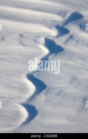 North America, USA, New Mexico, Santa Fe. Bedside Dreamcatcher Stock ...