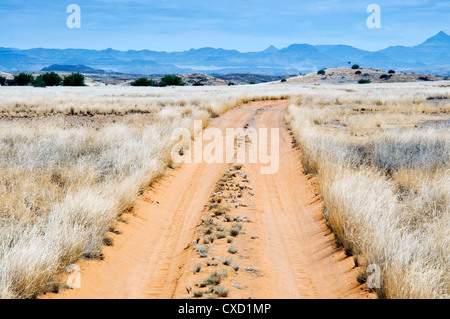 Namibia, Kunene region, Damaraland Stock Photo - Alamy