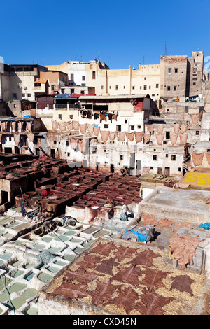 Hides drying at a tannery, Fez, Morocco Stock Photo - Alamy