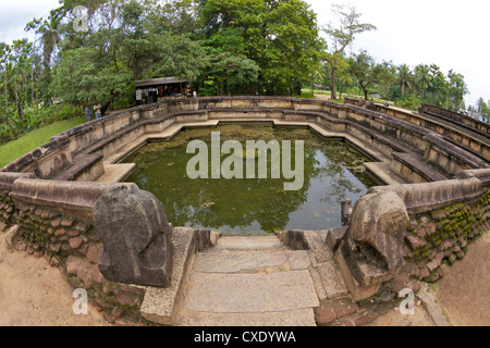 Asia Sri Lanka Polonnaruwa Kumara Pokuna royal baths by King ...