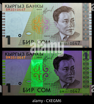 Banknote seen under natural light and UV light, showing security Stock ...