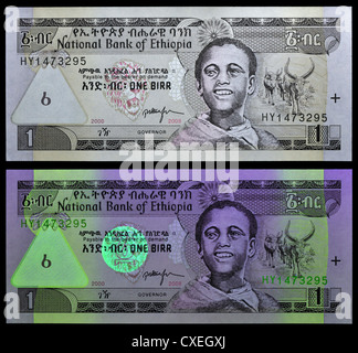 Banknote seen under natural light and UV light, showing security ...