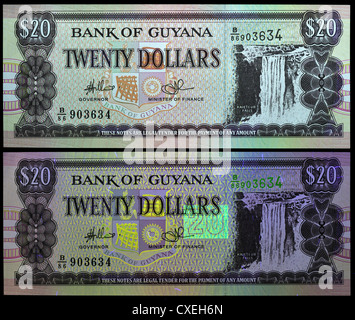 Banknote seen under natural light and UV light, showing security ...