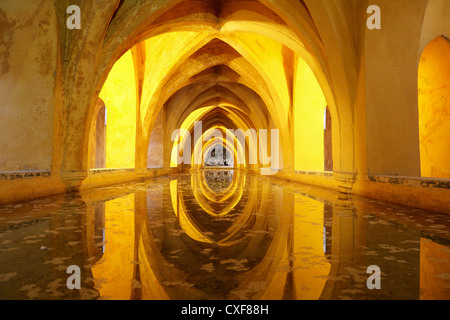 The Royal Baths of the Alcazar Seville Baths of Dona Maria de Padilla ...