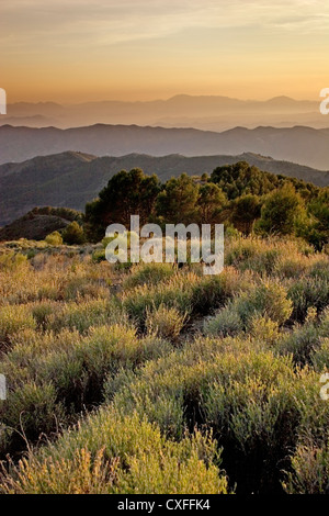 Parque Natural Montes de Malaga. Andalusia. Spain Stock Photo - Alamy