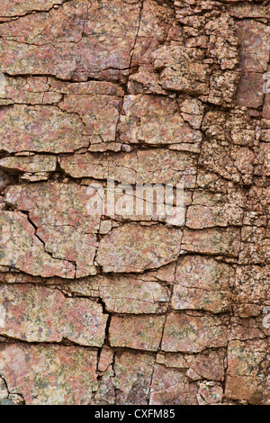Indian rock structure. Andhra Pradesh, India Stock Photo - Alamy
