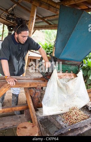 Coffee pulping machine, Colombia Stock Photo - Alamy