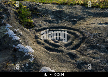 Cup and ring mark marks prehistoric Neolithic rock art on natural rock ...