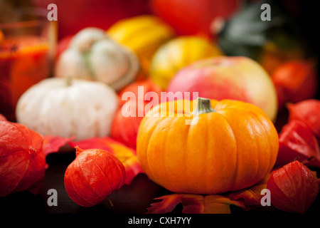 Fresh harvest of apples. Happy Thanksgiving Day. Harvest festival ...